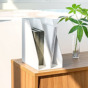 carrotez Open Front Magazine File Holder, Plastic Magazine Rack, Vertical File Organizers for Desk, Office Organization Essentials, 10.8" x 3.7" x 12.6" - 2 Pack, White