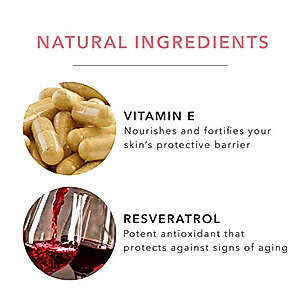 100% PURE Nourishing Body Cream Vanilla Bean Lotion Luxurious Dry Skin Hydration & Replenishment Natural Anti-Aging Moisturizer & Skincare for All Skin Types Women & Men - Vegan - 8 oz