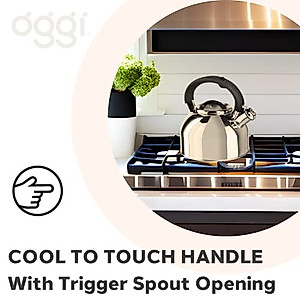 OGGI Tea Kettle for Stove Top - 64oz / 1.9lt, Stainless Steel Kettle with Loud Whistle, Ideal Hot Water Kettle and Water Boiler - Silver Mirror