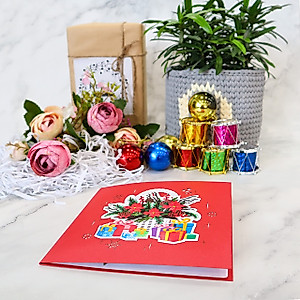 CUTE POPUP - Red Cardinal and Poinsettia Pop Up Card, Thank You Cards, Thinking of You Card, Birthday Card for Mother, Friend on Every Occasion