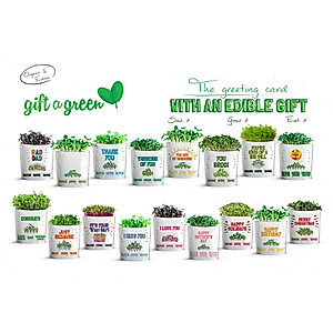 GIFT A GREEN HAPPY BIRTHDAY Greeting Card Greeting Cards with Organic Microgreens! Just Like A Post Card, Simply Mail and Recipient Gets to Grow & Eat | Cards for All Occasions | 1 PACK