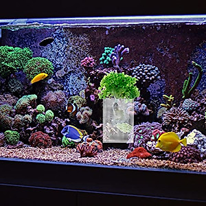 Mipcase Aquatic Plant Cup- Acrylic Fish Tank Water Plants Planter, Aquarium Planter Holder with Suction Cup, Aquarium Fish Tank Frame