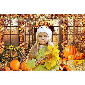 7x5ft Fall Window Photo Backdrop Autumn Forest Scenery Maple Leaves Pumpkin Harvest Photography Background Fall Theme Thanksgiving Day Party Decorations Banner Birthday Baby Shower Decor