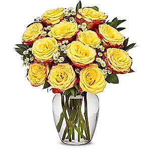 From You Flowers - One Dozen Festive Roses with Glass Vase (Fresh Flowers) Birthday, Anniversary, Get Well, Sympathy, Congratulations, Thank You