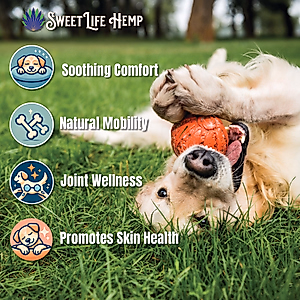 Sweet Paws Hemp Oil for Pets | Helps Dogs and Cats with Anxiety, Pain, Stress, Sleep, Arthritis & Seizures Relief | 165mg (Roasted Chicken)