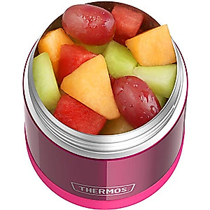 THERMOS FUNTAINER 10 Ounce Stainless Steel Vacuum Insulated Kids Food Jar, Pink