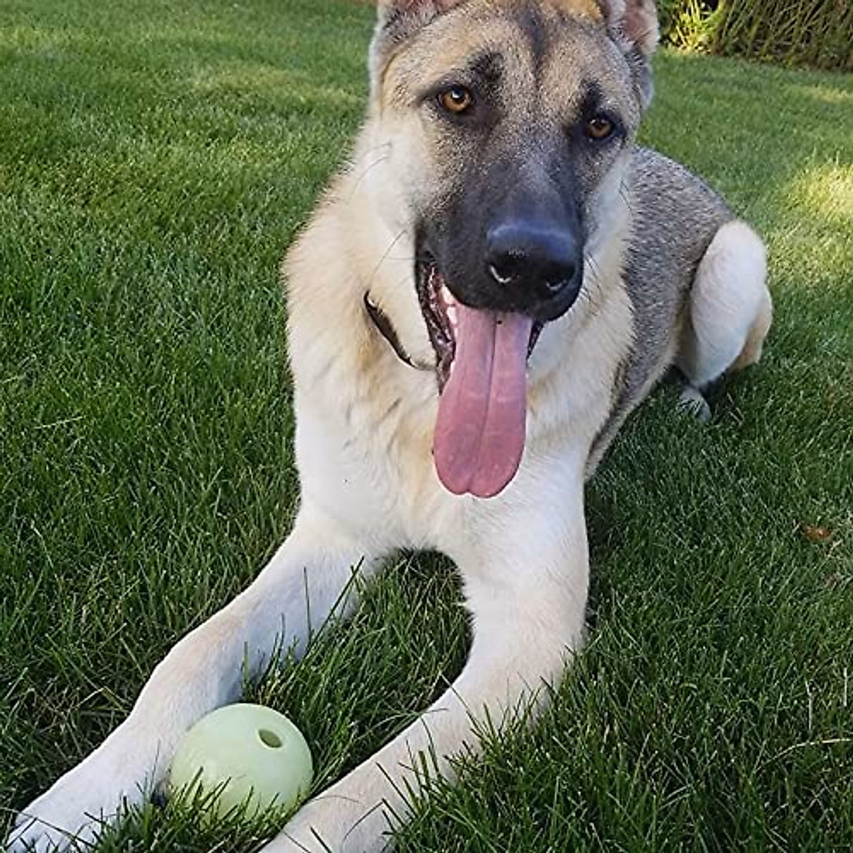 Chew King Dog 2 Piece Glowing Fetch Ball,White for Medium Breeds