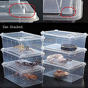 2 PCS Reptile Small Snake Feeding Box Lizard Tarantula Habitat Cage Hatching Container Transparent Portable Plastic Mini Pet Houses for Scorpion Spider Frog