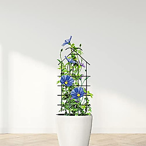 ARIFARO 32'' Metal Garden Trellis for Climbing Plants, Indoor/Outdoor Sturdy Plant Trellis for Potted Plants,House Plants, Climbing Vines, Pack of 4, Black
