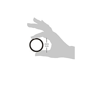 Delta Faucet RP25 O-Rings, 2-Pack, Chrome