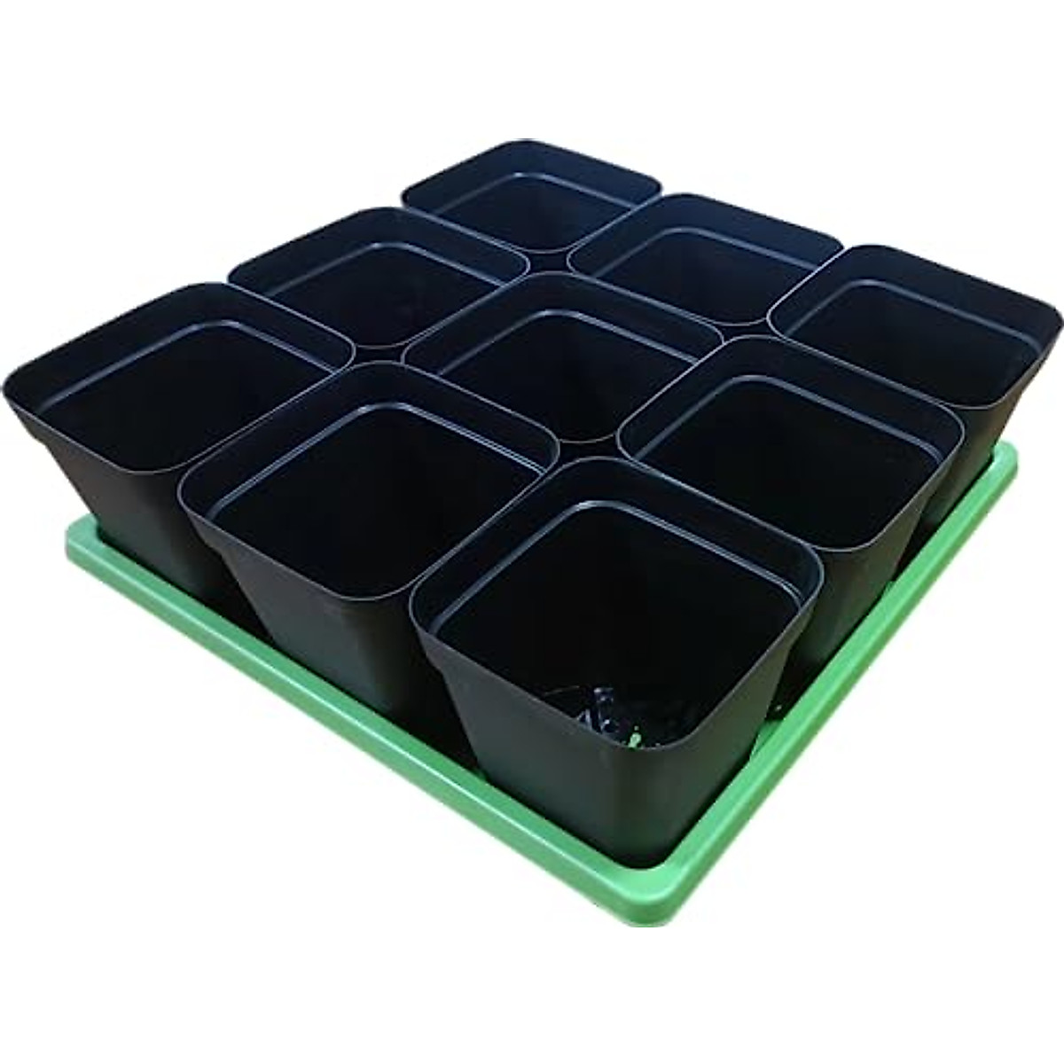 RooTrimmer 10-Pack Microgreen Seed Starter Grow Trays for Seedlings, Shallow Seeding Germination Flats Non Standard 1010 Tray no Holes Plant Sprouter Propogation Tray