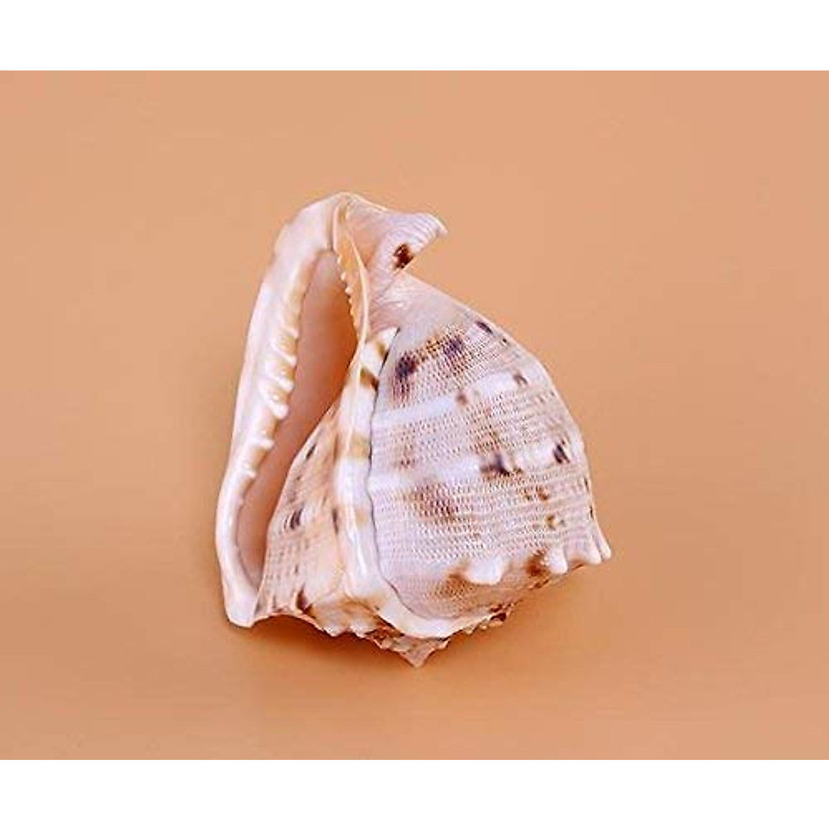 Meking PVC Backdrop 27x51inch (68x130cm) PVC Background Matte PVC Solid Color Photography Backdrop for Photo Video Photography Studio -9 in 1 kit