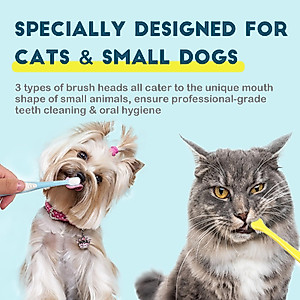 MoonyMars Cat Toothbrush Small Dog Tooth Brush, Tooth Brushing Kit with Micro Round & Pointed Head for Puppy, Kitten & Small Pet, Doggy Toothbrushes Dental Cleaning, Easy Handle, Soft Bristles, 5 PCS