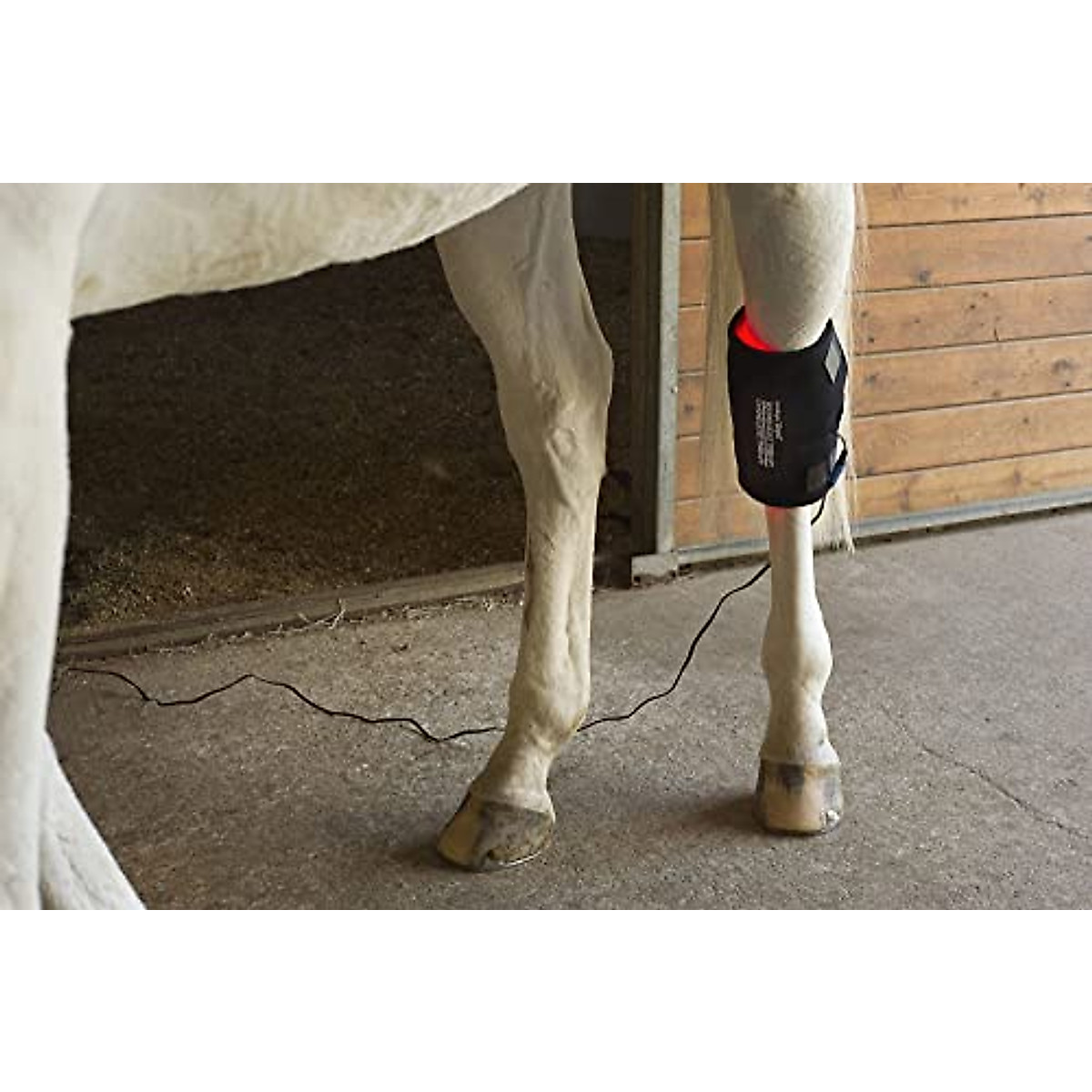 Gospel's Medium Light Therapy Pad with Case