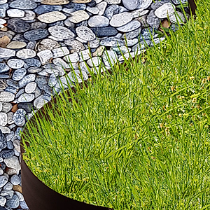 Hacaroa 40 Feet Landscape Edging Coil with 24 Anchoring Stakes, Plastic Terrace Board 4 Inch High, Decorative Grass Barrier Garden Edging Border for Lawn, Fence, Flower Bed, Wood Grain, Brown