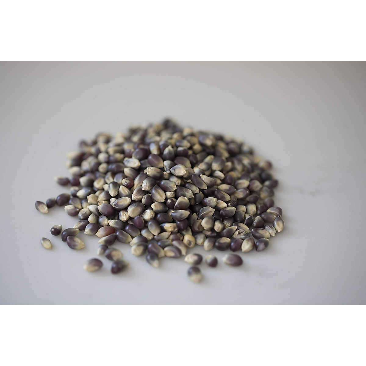 Amish Country Popcorn | 6 lb Bag | Popcorn Kernels | Small and Tender | Old Fashioned, Non-GMO and Gluten Free (6 Pound (Pack of 1)