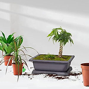 Towjaw 3pcs Bonsai Pots with Humidity Trays,Plastic Bonsai Tree Pot,Indoor Decor Garden Yard,Plastic Bonsai Training Pots,9 Inch Bonsai Tree Pots Kit