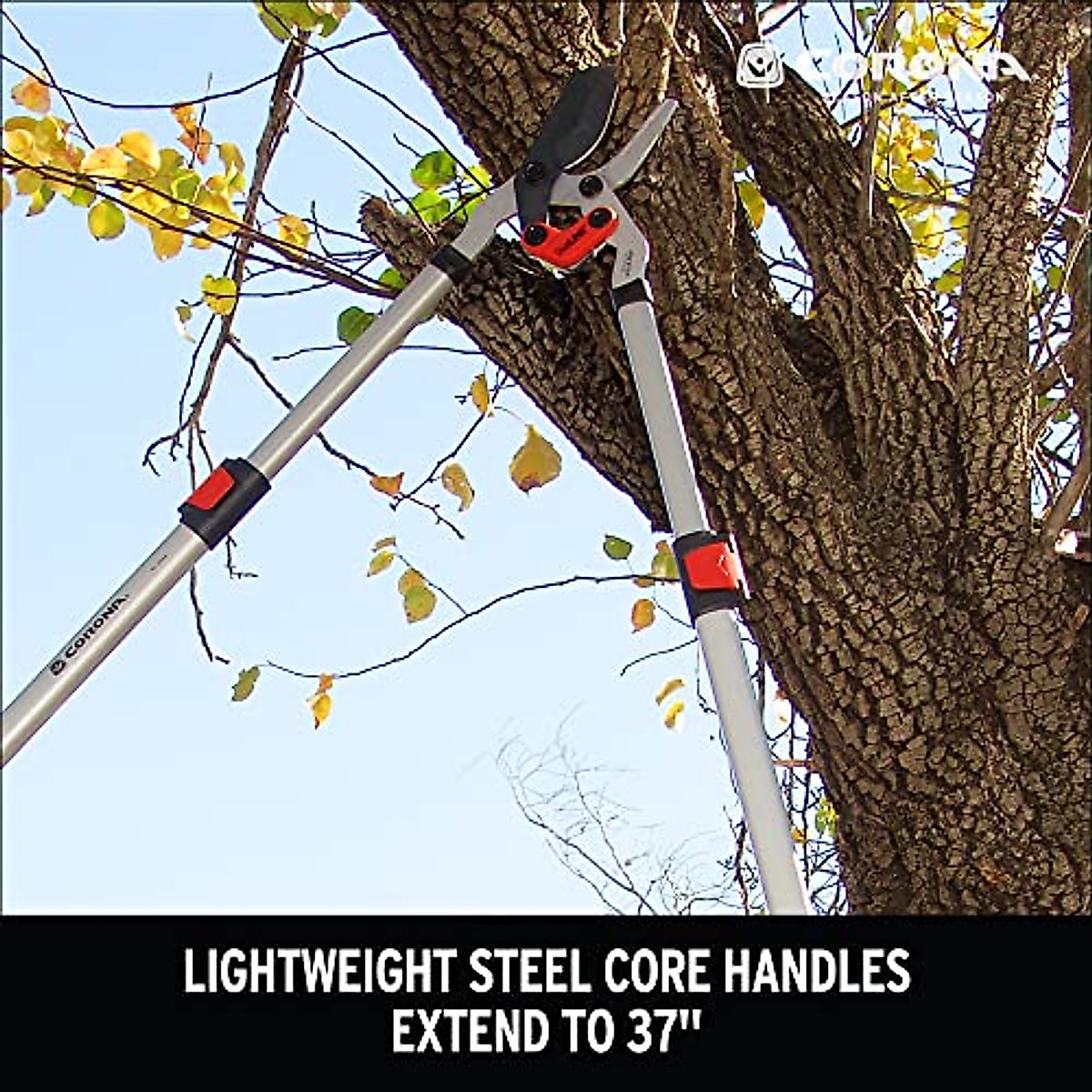 Corona Tools | Branch Cutter DualLINK™ Extendable Bypass Loppers | Tree Trimmer Cuts Branches up to 1 ¾-inches in Diameter | Handles Extend up to 37 ½inches | SL 4364