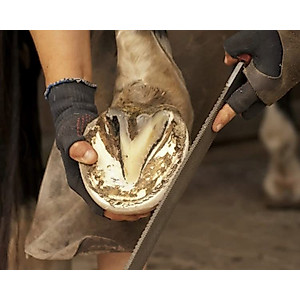 Heller Black Master RASP