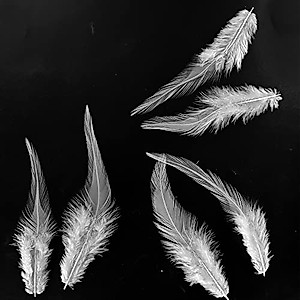 Happy Feather 100PCS Saddle Hackle Rooster Feather for Crafts, 5-7 inch Natural Pheasant Neck Feathers DIY Pendant Earrings Dream Catcher-White