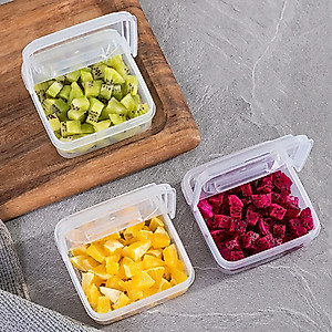 Teensery 2 Pcs Plastic Cheese Storage Box with Lid Multi-Purpose Square Food Container for Fruits Vegetable, 4" x 4" x 1.6" (Clear)