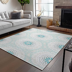 Addison Rugs Chantille ACN619 Teal 9' x 12' Indoor Outdoor Area Rug, Easy Clean, Machine Washable, Non Shedding, Bedroom, Living Room, Dining Room, Kitchen, Patio Rug