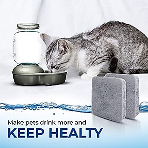 PureLine Petmate Replendish Water Filter Replacement, Also Compatible with Petmate Mason and Petmate Replendish and Mason Gravity Waterer Bowls. with Advanced Filtration (12 Pack)
