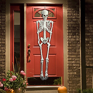 5.4ft Full Body Skeleton Prop with Movable Joints, Poseable Life Size Skeleton Statue for Anatomy Scentific Study Halloween Outdoor Decoration (White)