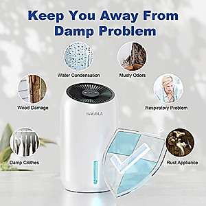 Dehumidifier, Makayla Dehumidifiers for Room 56oz(1650ml), 2 Working Modes/Auto Shut-off, Dual-Semiconductor Quiet Small Dehumidifiers for Home(550sq ft),Bedroom,Basement,Bathroom,Kitchen,RV