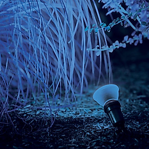 PHILIPS PAR38 LED Flood Blue 3-Pack