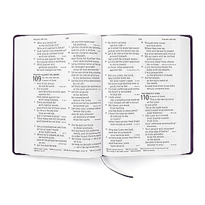 CSB Super Giant Print Reference Bible, Value Edition, Purple LeatherTouch, Red Letter, Presentation Page, Cross-References, Full-Color Maps, Easy-to-Read Bible Serif Type