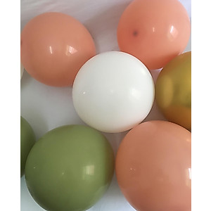 Bridal Shower Decorations Sage Green - Peach Olive Green Boho Bachelorette Party Decorations with Balloons Tissue Paper Flower Pompoms and Tassel Garland (Sage green + Peach)