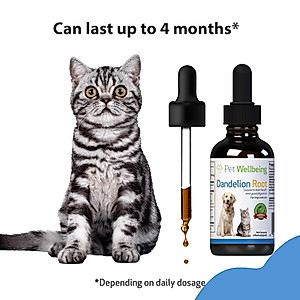 Pet Wellbeing Dandelion Root for Cats - Liver & Heart Health, Digestive Function, Blood Sugar Support, Certified Organic - Veterinarian-Formulated Herbal Supplement 2 oz (59 ml)