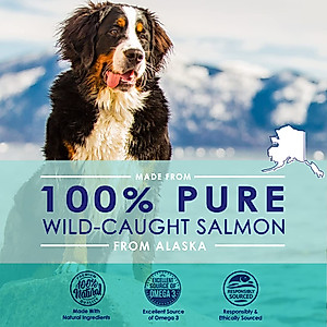 Pure Wild Alaskan Salmon Oil for Dogs, Omega 3 Formula with Pollock, Dog Fish Oil Liquid, Skin and Coat Supplement for Shedding, Dry Itchy Skin and Allergies, EPA + DHA Fatty Acids, 32 oz Pump Bottle