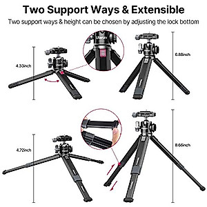 Portable Desktop Mini Tripod PICTRON MT-24 Compact Camera Tripod Aluminum Alloy with 360° Ball Head,1/4 inches Quick Release Plate for DSLR Camera Video Camcorder, Load up to 11lbs/5kg