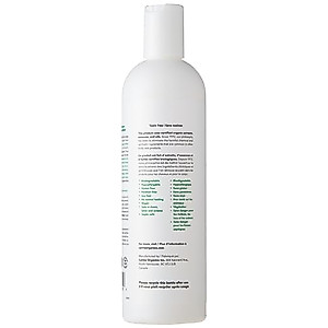 Carina Organics Unscented Extra Gentle Shampoo, 360 Milliliters