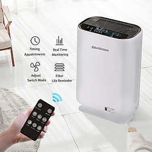 BATEERUN True HEPA Filter Air Purifiers, Quiet Air Cleaner. True HEPA Air Purifiers Filter for Bedroom, Large Room 2 PACK