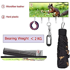 Cute Squirrel Mail Holder Organizer and Key Hooks PU Front, Self Adhesive Key Rack with 5 Hooks Perfect for Entryway, Hallway，Bathroom ，Kitchen