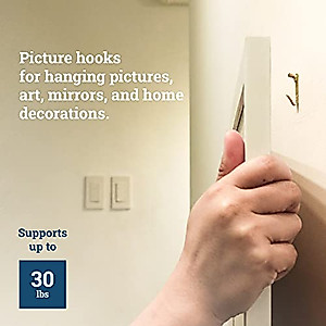 Plaster Picture Hangers 30 lbs - 25 Pack - Picture Hanging Nails - Picture Hanging Hooks - Picture Hang Solutions