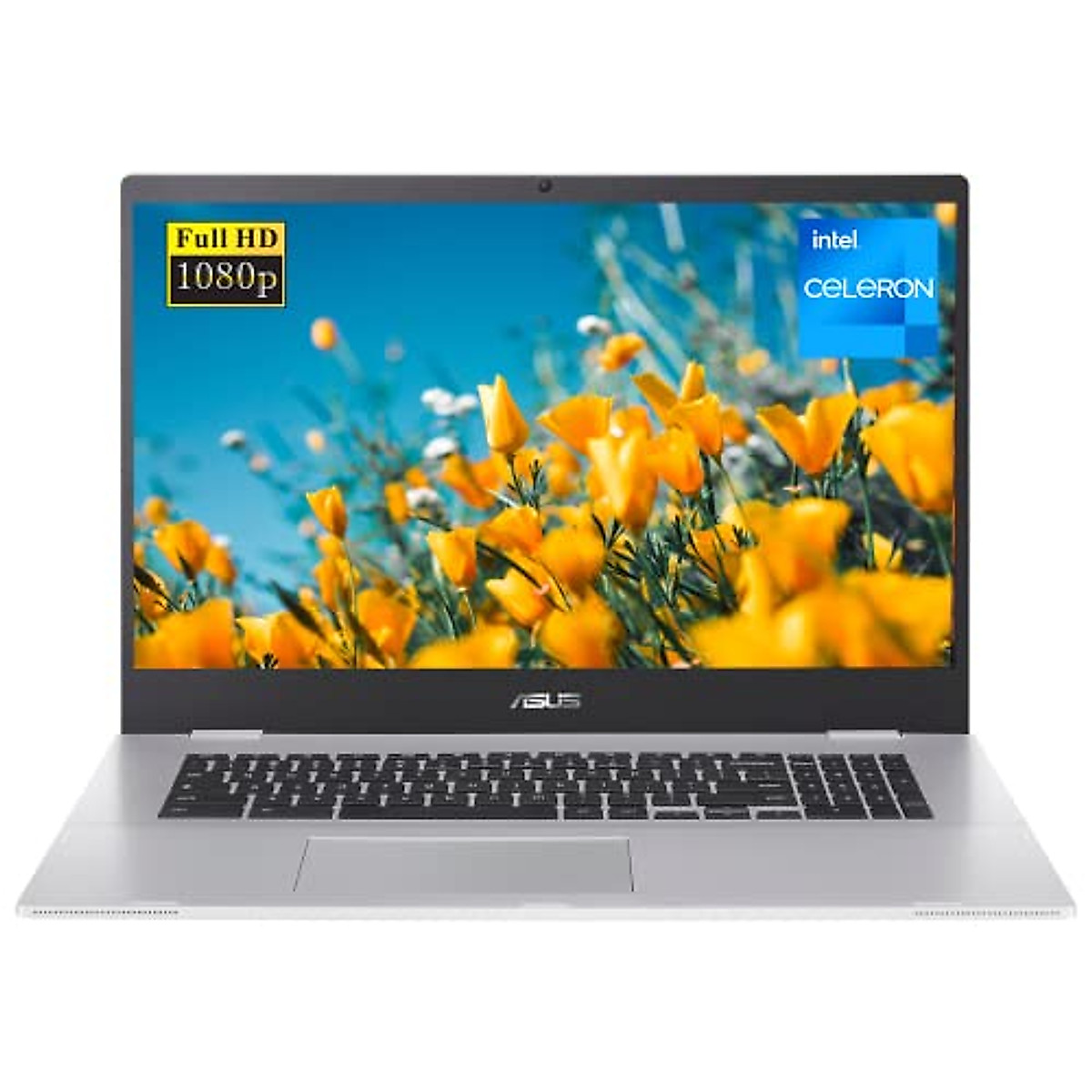 ASUS 17.3'' FHD Chromebook, Intel Celeron N4500, 4GB RAM, 64GB eMMC, Webcam, Micro SD Card Reader, Wi-Fi 6, Chrome OS, Silver,(CXB170CK)
