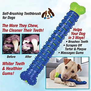 2-in-1 Durable Pet Chew Toy with Squeaker, Non-Toxic Rubber