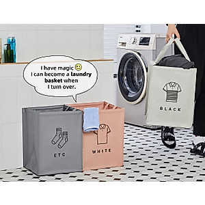 ECOWAN LIVING 36L Recycle Waste Bags for Kitchen, Indoor Recycling Bins, Recycle Bins for Home, Recyclable Waste Trash Sorting Organizer, Reusable Waterproof Anty-Deformation Design, Pack of 3 Bags