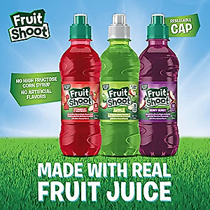 Fruit Shoot, Berry Burst, 10.1 Fl Oz Bottles (Pack of 24)