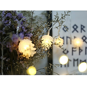 无 Christmas Pine Cones Shape LED Fairy String 40 LED 19.68 feet Battery Power Warm White String Lights Indoor and Outdoor Home Garden Lights