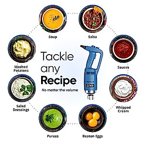 TK Tartle Kitchen Light Duty Commercial Immersion Blender, 350W Restaurant and Professional Use, 8000-20000RPM, Hand Mixer 12" Removable Shalft