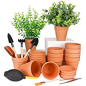 Nilos 12 Pack Terra Cotta Pots with Saucer - 12pcs 3 Inches Clay Pots with 7Pcs Succulent Tools Mini Flower Pot Planters for Succulent Display, Indoor, Outdoor, Home, Office, Wedding Decor