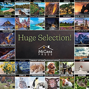 MICASA Australian Shepherds 2024 Wall Calendar 12 Month | 12" x 24" Open | Thick & Sturdy Paper | Giftable | Calendar 2024