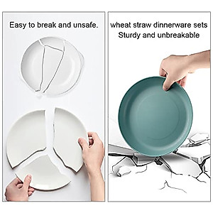 Wheat Straw Dinnerware Sets for 6(55 PCS), Lanveda Kitchen Dinnerware Sets Include Dinner Plates, Cereal Bowls, Cups, Flatwares, Portable Bag, Lightweight Outdoor Colorful Party Dinnerware Sets