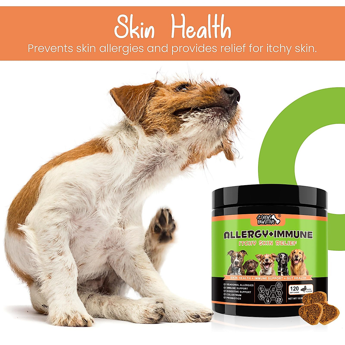 Chews Pawsitive Allergy + Immune Chews for Dogs - Dog Supplements for Itchy Skin and Seasonal Allergy Relief- Natural Dog Immune Support- Digestive Health Probiotics - 120ct