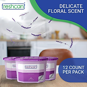 Freshcant Moisture Absorber Bundle, Room and Closet Freshener, Moisture and Odor Absorber for Home, Rooms, Basement, Garage, Prevents Musty Odor, Controls Moisture, Pack of 12, Lavender Scent
